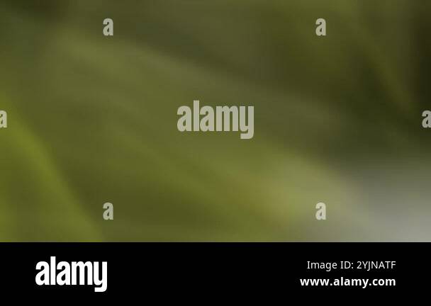 Glowing blurred translucent golden light rays. Animated background and ...