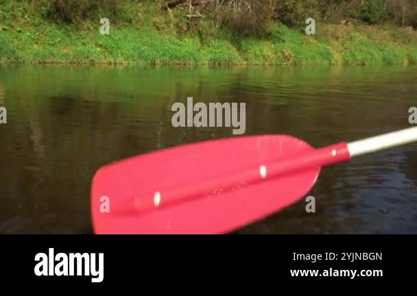 Red Oar Plunges into the Water of the River. Rowing. Oar Blade. An Oar ...