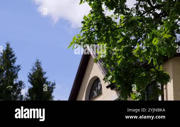 Roof Ridge of the Building with a Triangular Window Behind the Oak ...