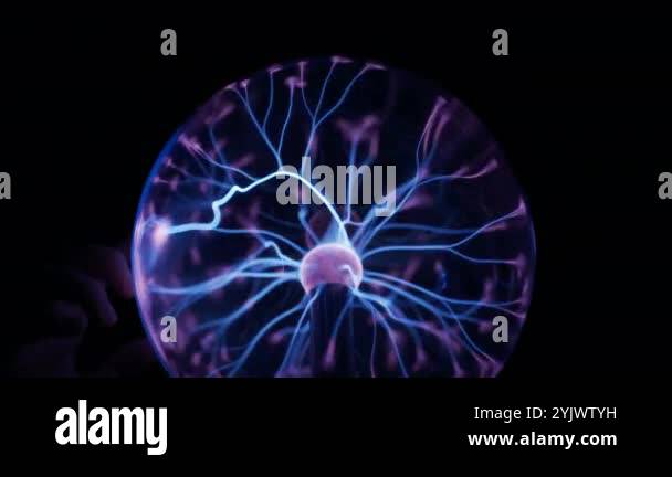 Electric rays Stock Videos & Footage - HD and 4K Video Clips - Alamy