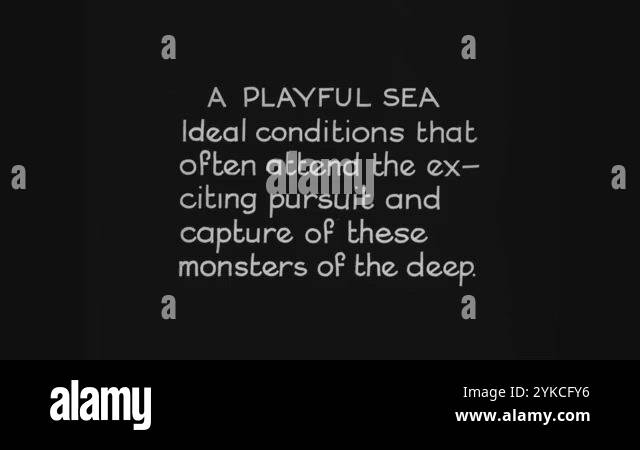 Blubber and oil Stock Videos & Footage - HD and 4K Video Clips - Alamy