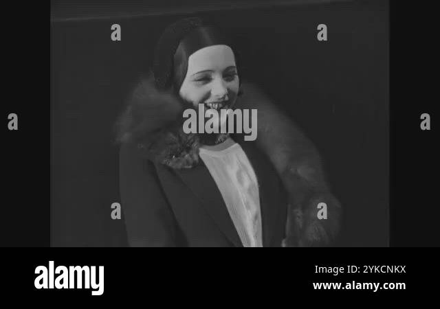 Danish fox Stock Videos & Footage - HD and 4K Video Clips - Alamy