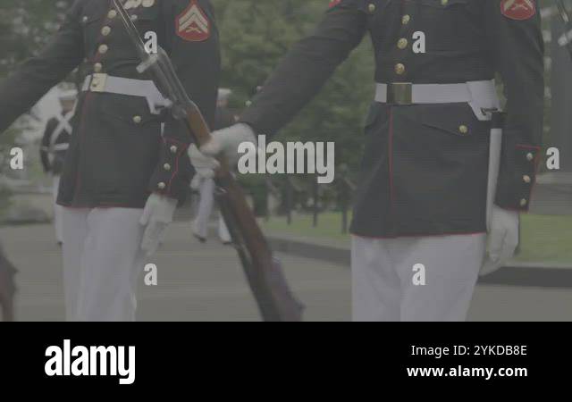 Marine corps rifle drill Stock Videos & Footage - HD and 4K Video Clips ...