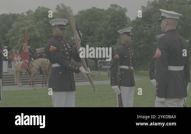Us marine corps rifle Stock Videos & Footage - HD and 4K Video Clips ...