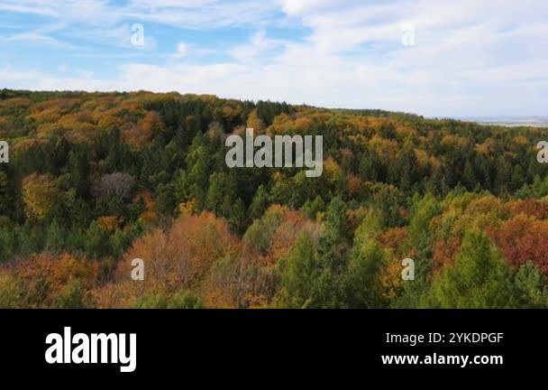 Blue Ridge Mountains, Georgia Drone flyover of mountain forest of trees ...