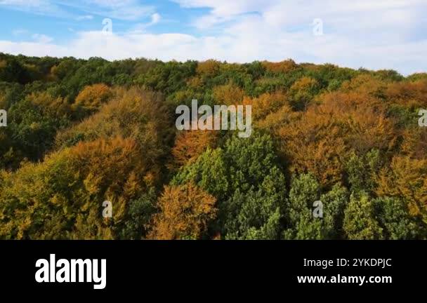 Blue Ridge Mountains, Georgia Drone flyover of mountain forest of trees ...
