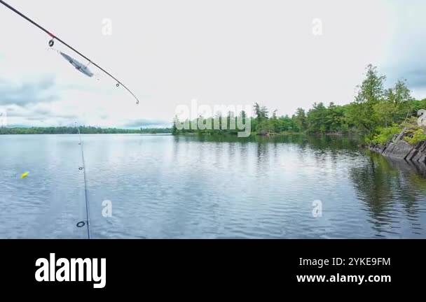 Catch and release fishing game sport of bass fish on the lake in Canada ...