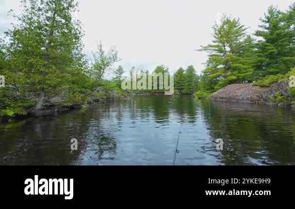Catch and release fishing game sport of bass fish on the lake in Canada ...