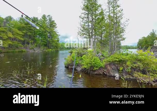 Angler POV from the boat. Beautiful evergreen fir trees and dry woods ...