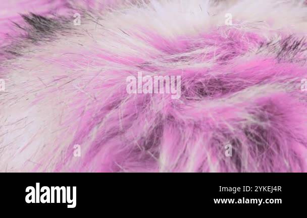 Magenta pink colored faux fur with long pile, imitation of fox fur ...