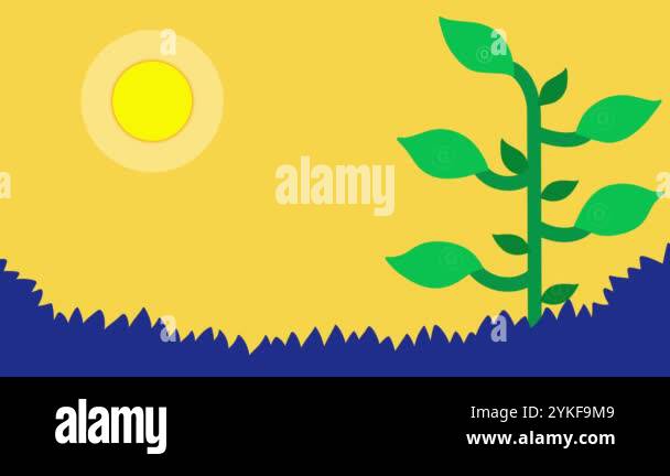 Photosynthesis explanation Stock Videos & Footage - HD and 4K Video ...