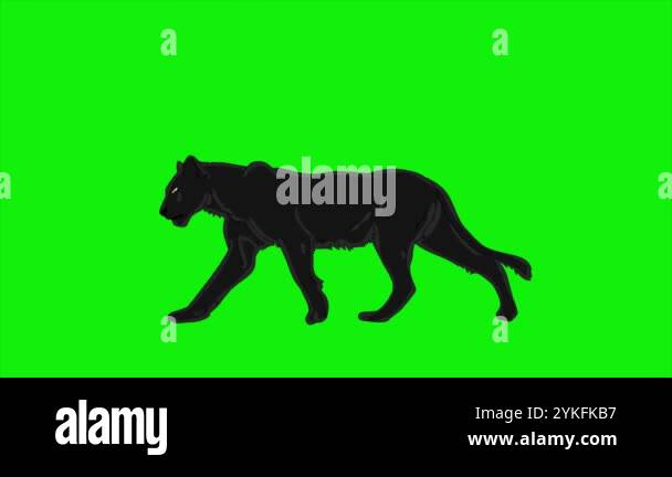 2d Animation A Black Tiger Running In Place With Repetitive Motion ...