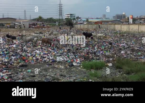 Ghana, Accra, 10,18,24 AGBOGBLOSHIE people live in slum largest ...
