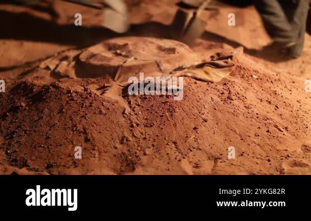 Jordanian cuisine. Zarb is a traditional bedouin meal, famous meat dish ...