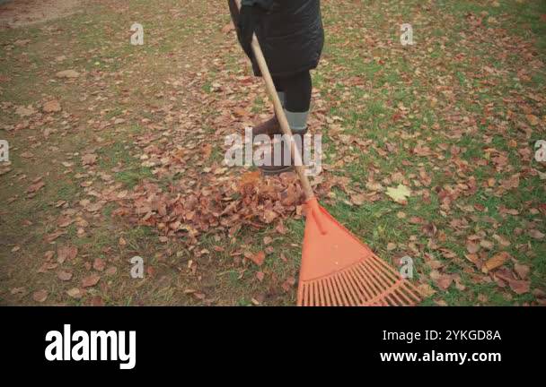Rake with face Stock Videos & Footage - HD and 4K Video Clips - Alamy