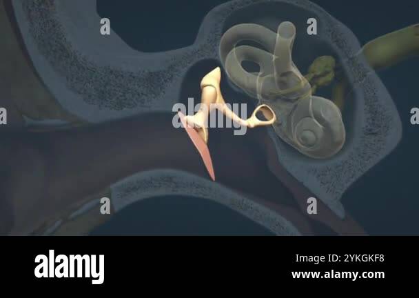 Semicircular structure Stock Videos & Footage - HD and 4K Video Clips ...