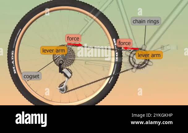 The physics of a bicycle wheel involves rotational motion, where the ...