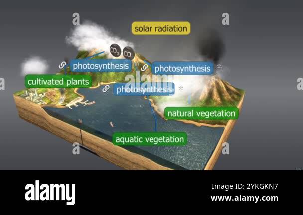 Earth ecosystem cycle Stock Videos & Footage - HD and 4K Video Clips ...