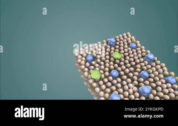 Membrane synthesis Stock Videos & Footage - HD and 4K Video Clips - Alamy