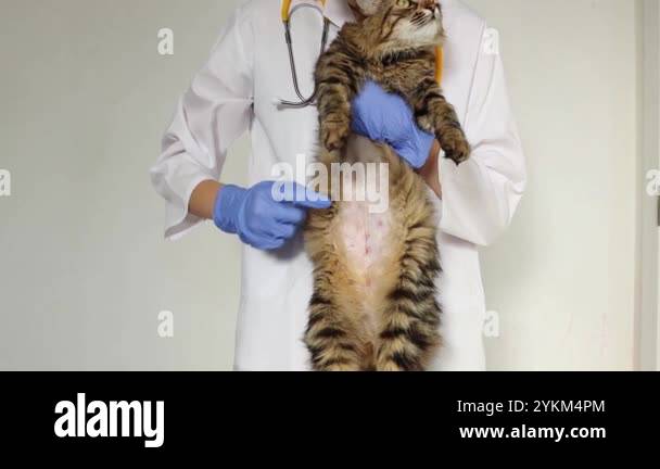 One young Caucasian unrecognizable girl in a white coat with a yellow ...