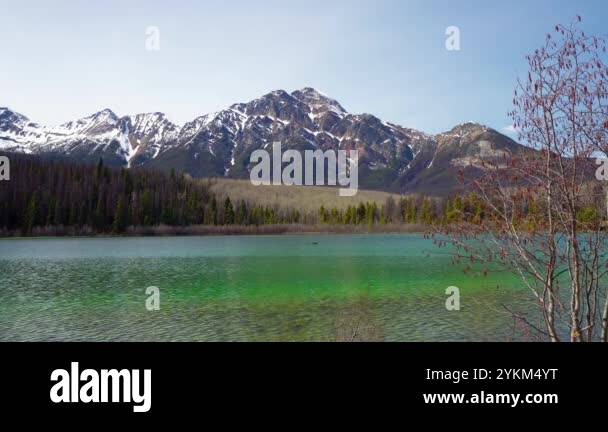 Alberta scenery Stock Videos & Footage - HD and 4K Video Clips - Alamy