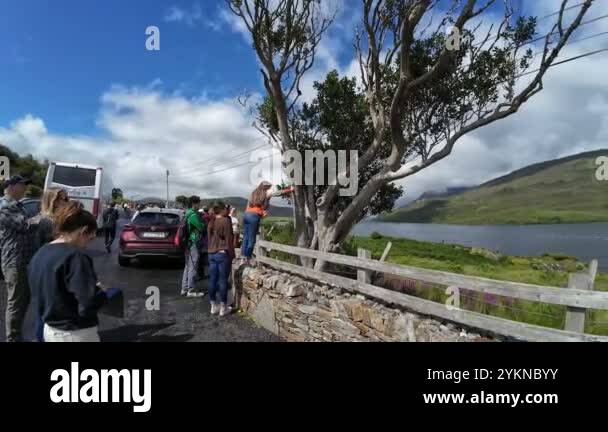 Celtic myth fairy Stock Videos & Footage - HD and 4K Video Clips - Alamy