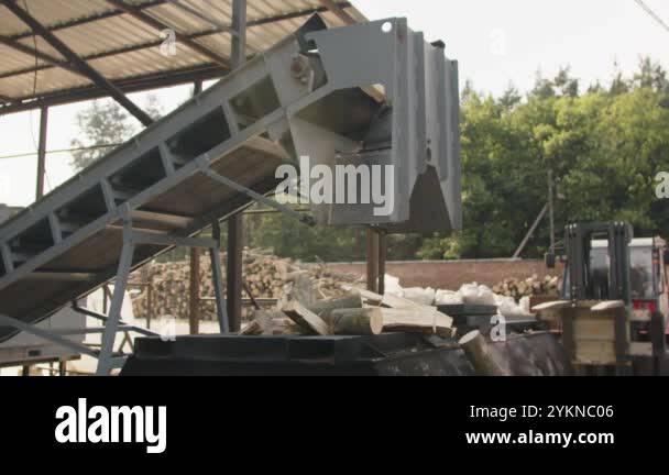 Pieces of wood fall into a container from a conveyor belt that cuts ...