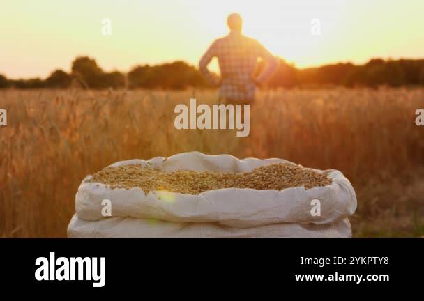 Sack image Stock Videos & Footage - HD and 4K Video Clips - Alamy