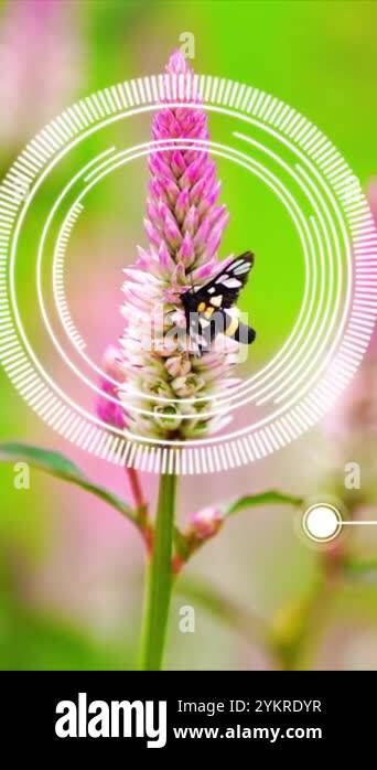 Smart digital agriculture technology by futuristic sensor data ...