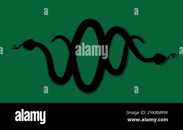 Black silhouette of two snakes. Minimal modern seamless motion design ...