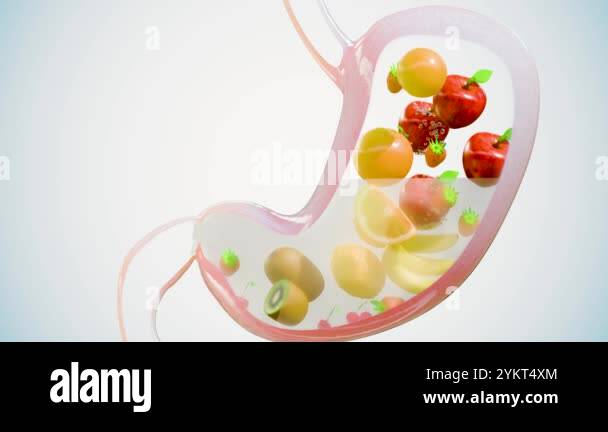 Stomach with fruits, Losing weight and nutrition, Healthy food for ...