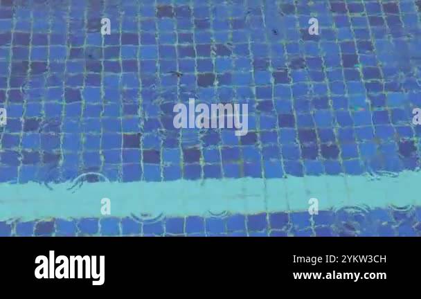 Rain drops falling in a swimming pool with a dead bug floating around ...