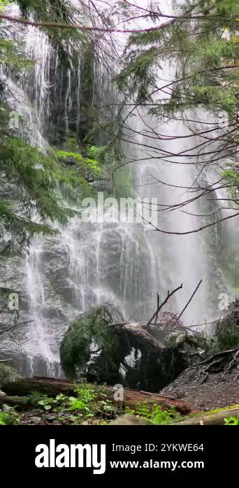 Water flows dramatically from a massive cliff in a dense, untamed ...