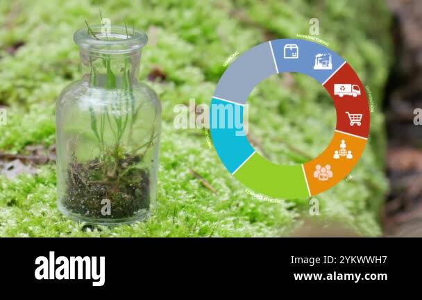 Circular economy concept. A green plants background with scheme of ...