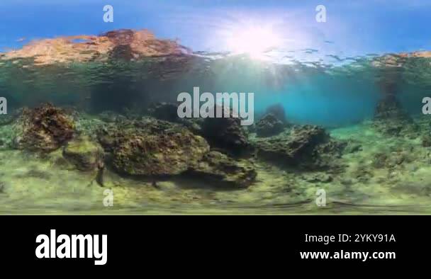 A 360-degree view of an underwater coral landscape, with sunrays ...