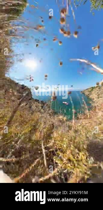Vertical video. dolly, A beautiful coastal view framed by wild grasses ...