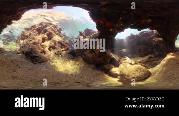 Coral arch Stock Videos & Footage - HD and 4K Video Clips - Alamy