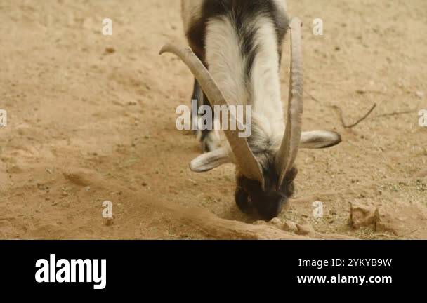 Outward curve Stock Videos & Footage - HD and 4K Video Clips - Alamy