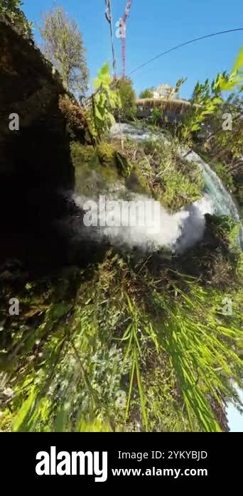 Vertical video. Water powerfully rushes out of a moss-covered pipe into ...