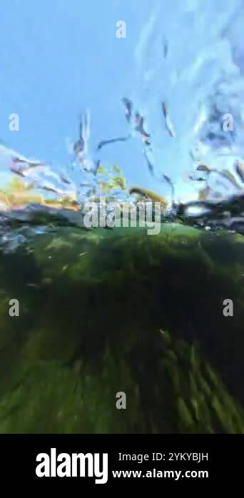 Vertical video. Fast-moving river from an underwater perspective, with ...
