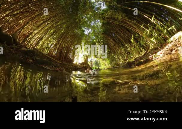 Bamboo arches Stock Videos & Footage - HD and 4K Video Clips - Alamy
