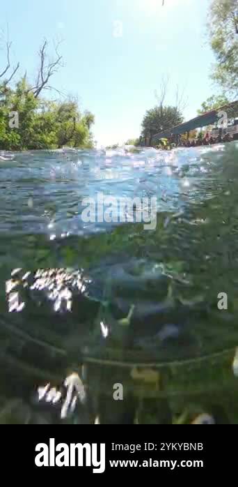 Vertical video. The camera plunges into a fast-moving river, capturing ...