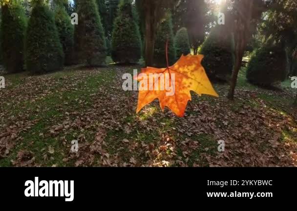 Vertical video. Tiny Planet effect capture a woman running and leaping ...
