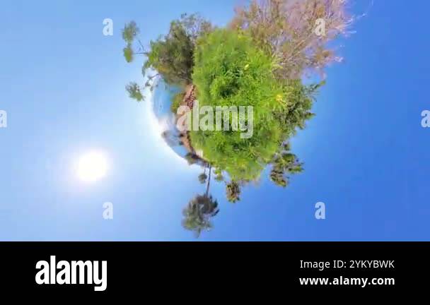 A Tiny Planet effect shows a small spherical world filled with trees ...