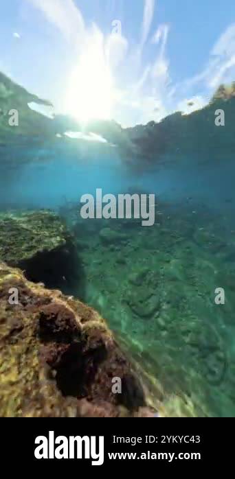 Vertical video. Underwater view with sunlight streaming through the ...