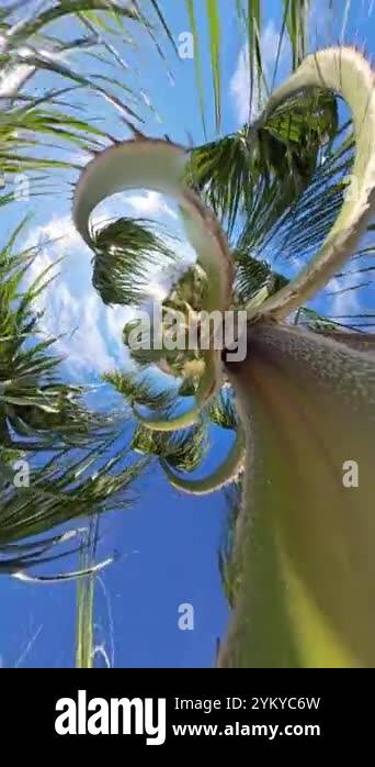 Vertical video. Rotation of tiny planet effect focusing on the curved ...