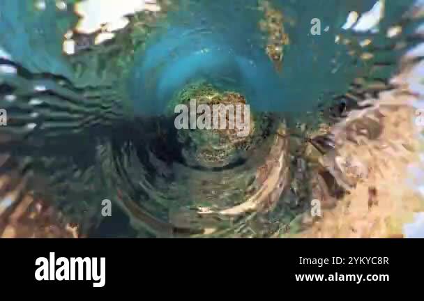 "Tiny Planet" effect of underwater scene showing a circular perspective ...