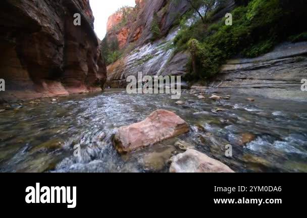 Stationary Shot: Immerse in the awe of The Narrows at Zion National ...