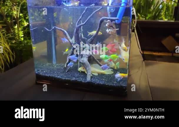 Penang,Malaysia. November 10,2024: Night time fine indoor dinning scene ...