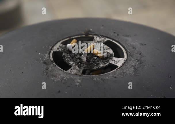 Cigarette disposal bin Stock Videos & Footage - HD and 4K Video Clips ...